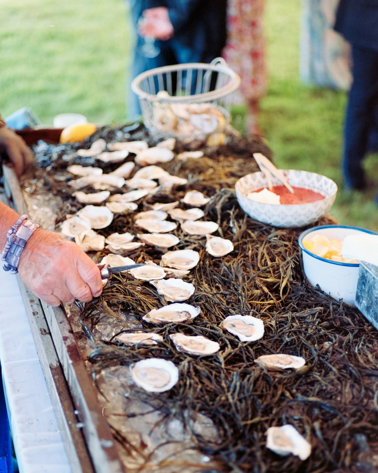 Best Wedding Venues on Martha's Vineyard - Hope Allison Photography
